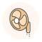 Wall Fans - Buy Wall Mounted Fan Online in India | Orient Electric