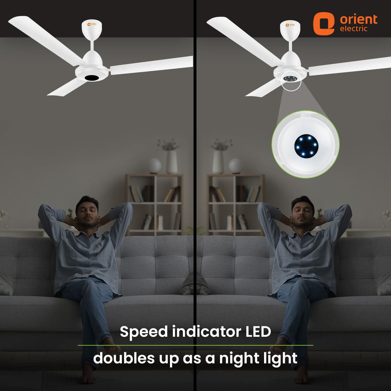 Buy 1200mm I-Falcon - BLDC Ceiling Fan With LED Light & Remote Online ...