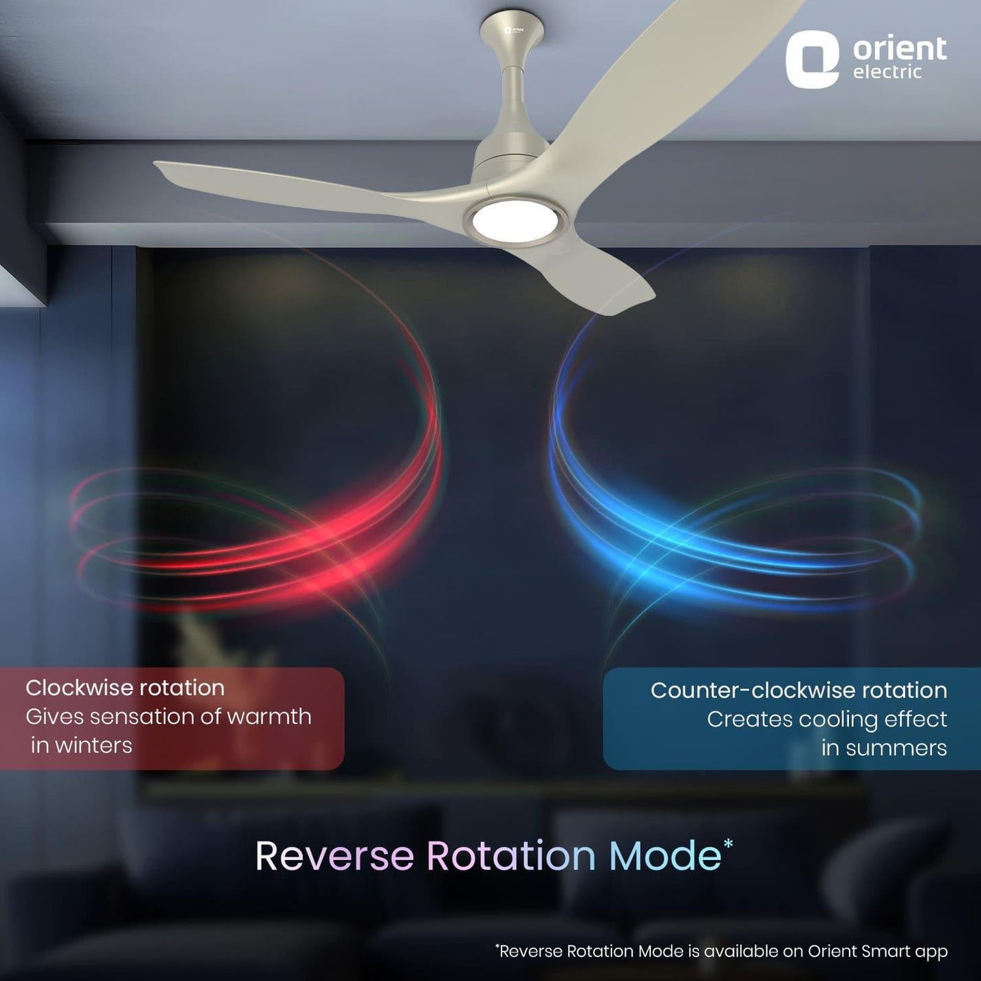 Buy Aerosense IoT Underlight BLDC PRO - Smart Modern Ceiling Fan Online ...